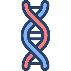 Scientific Almanac: Maklumat dalam DNA 145_3