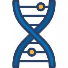 Vedecké Almanac: Informácie v DNA 145_5