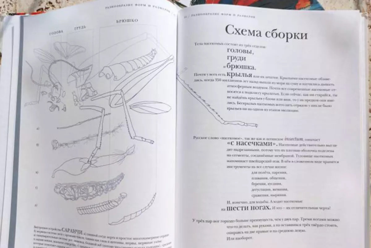 Co je třeba číst v létě: 55 knih o vědě, politice, feminismu, lásce a zločiny 1848_55