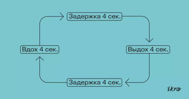 Elpošanas elpošanas diagramma elpošana