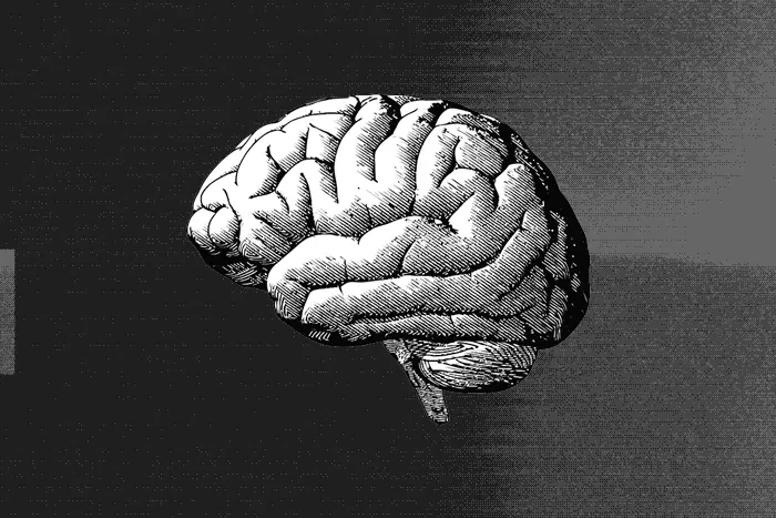 Lire en vacances: un cerveau aussi étrange 2214_8