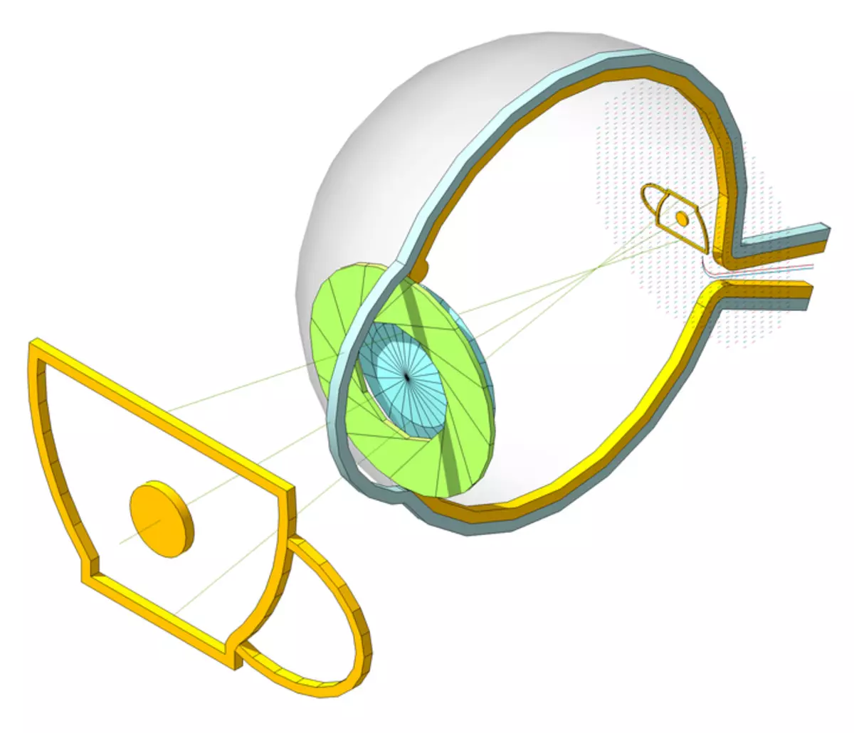 ¿Cómo funciona el ojo humano y por qué el cerebro Photoshop? 2317_1