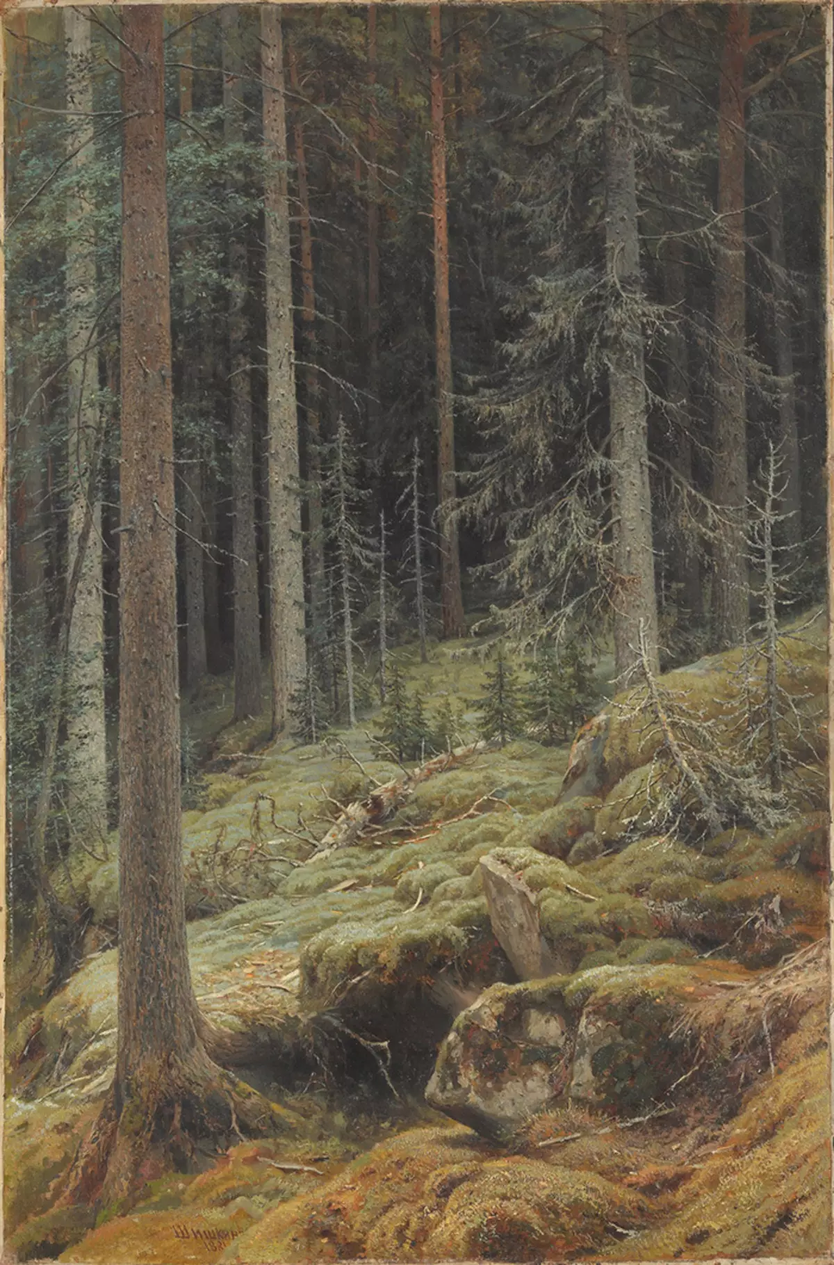 Debrist. Ivan Shishkin. 1881 leto