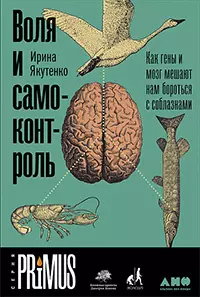 Силсилаи дигар ва хоб: Чӣ гуна мағзи сар қудрати иродаашро қатъ мекунад 3232_2