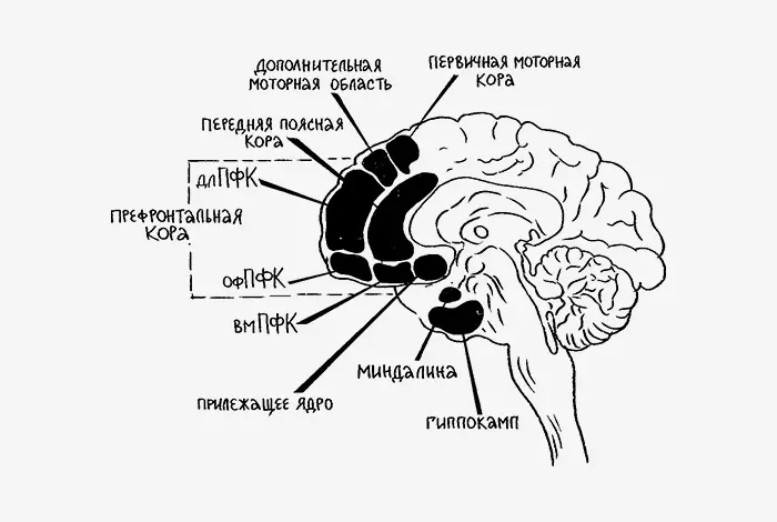 Шинэ холтосны хамгийн чухал бүсүүд нягт харилцаатай байна ...