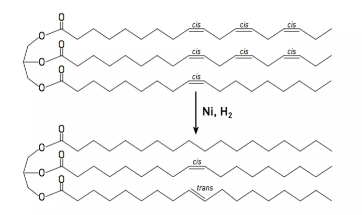 hydrogenation Catalytic ຂອງ mas ຜັກ ...