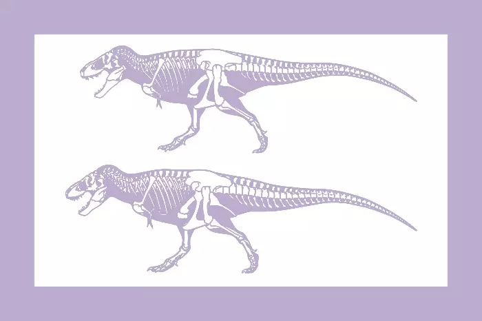 Dinosauro Rinascimento: Paleontologo di evoluzione, che si è un tyrantosaurus nel meme 4294_3