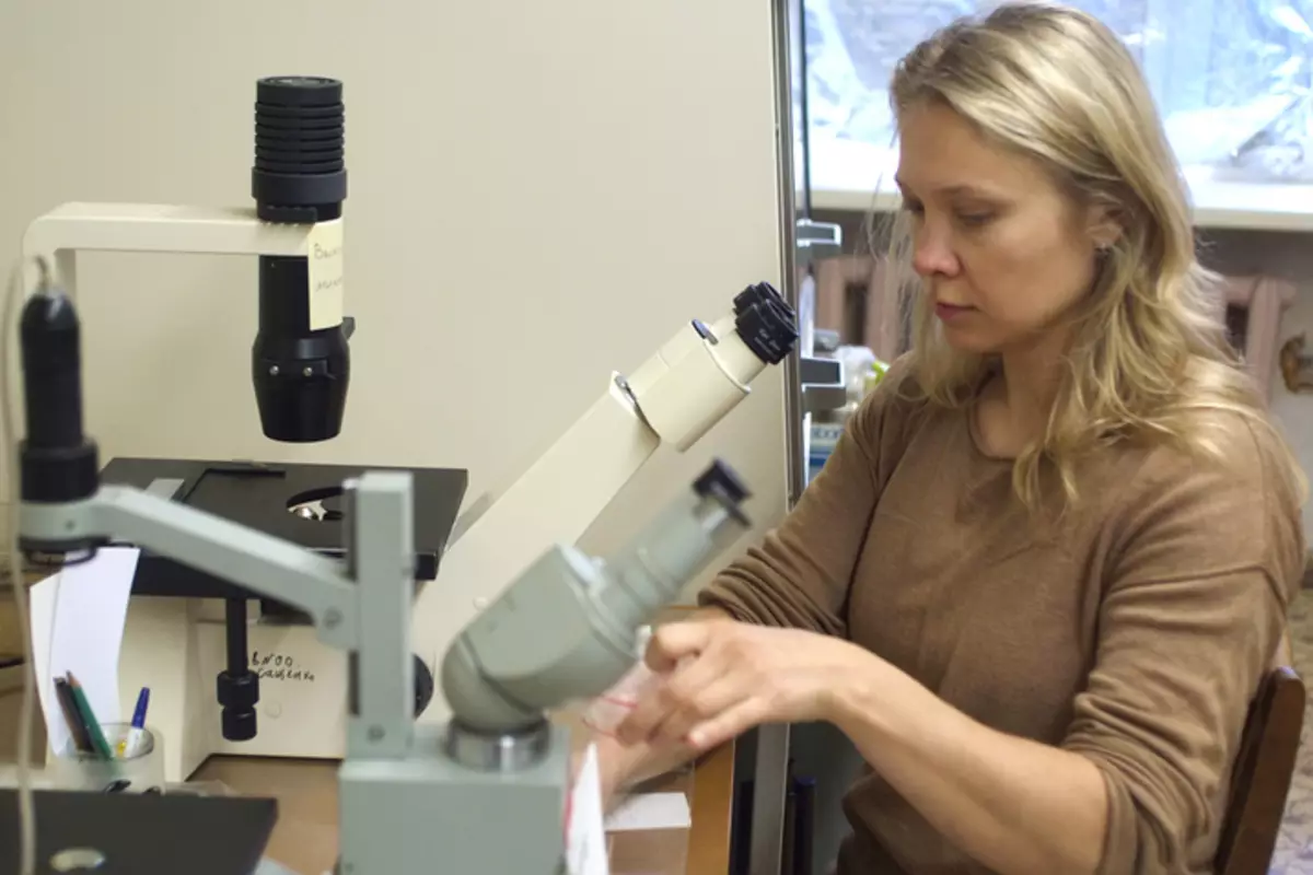 Jeunes scientifiques: biologiste moléculaire Natalia Soshnikov sur le sort des cellules et le fonds de soutien des chercheurs