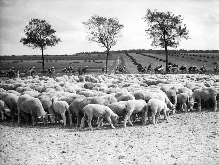 1938. Lekua ezezaguna da. Argazkia: Nationaa ...