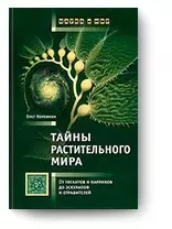 8 akwụkwọ ndị sayensị na nke a ma ama na usoro ndu na ihe omimi 4482_5