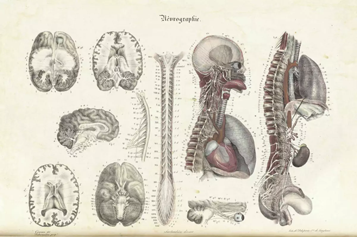 Abra Kadaur: come il corpo dopo la morte può servire come scienza 4602_2