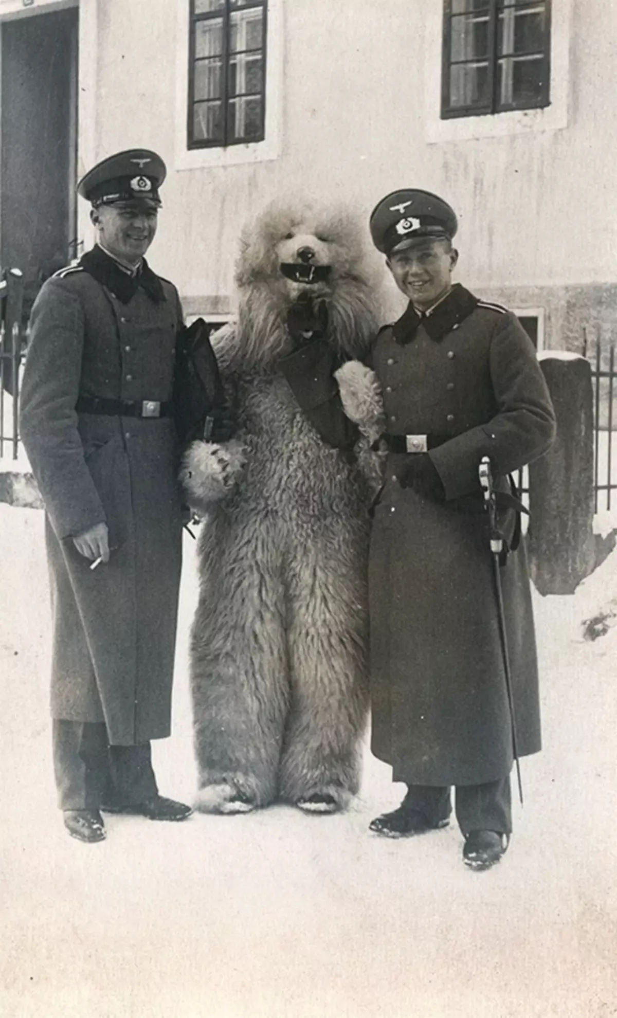 Teddybär pod svastikom: Njemačka u slikama 1920-ih i 1960-ih s sumnjivim medvjedom glumi 4837_3