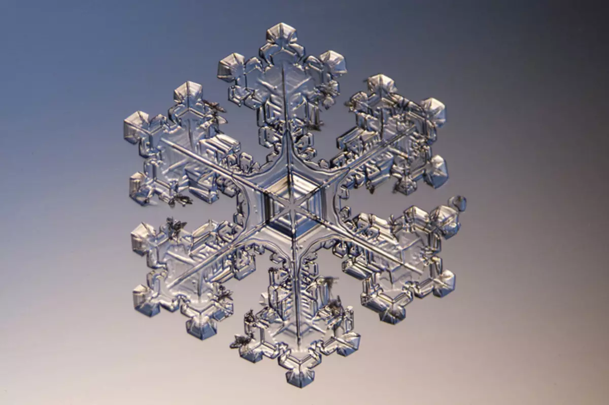 Snowflake taħt mikroskopju