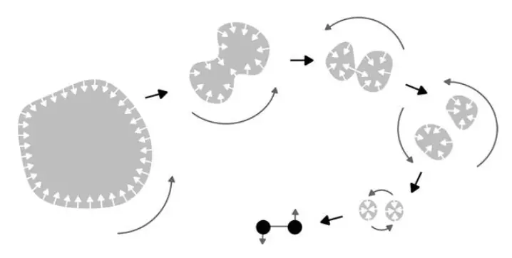 Il diagramma della formazione di una stella multipla. Iniziale ...