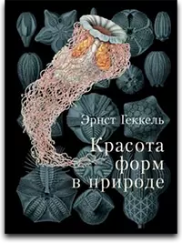 Ososayensi abasebasha: udokotela we-hydrobiologist u-Elena Kochacov kuma-crustaceans amelana nengcindezelo futhi wathwala isayensi 5106_9