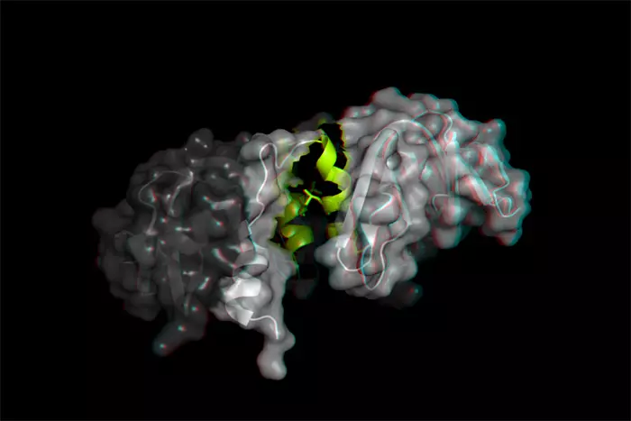 若い科学者：生物学者フィヨドールシルシコフ 5433_3