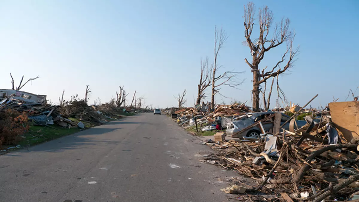 Kiša od prašine, prasty i moderne Noah, Ark: 8 umjetničkih projekata posvećen vremenu i klimatska pitanja 6114_6