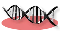 Yintoni eyoyike ukuthetha abakholelwa kwindalo esingqongileyo: indlela i-GMOs, amandla enyukliya kunye nokufudukela edolophini inokugcina iplanethi 6222_3