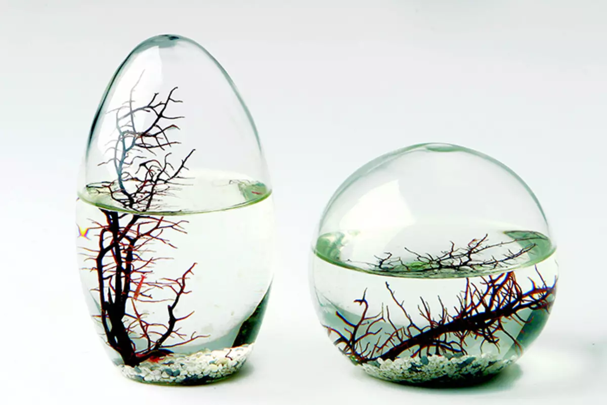 Ecosphere