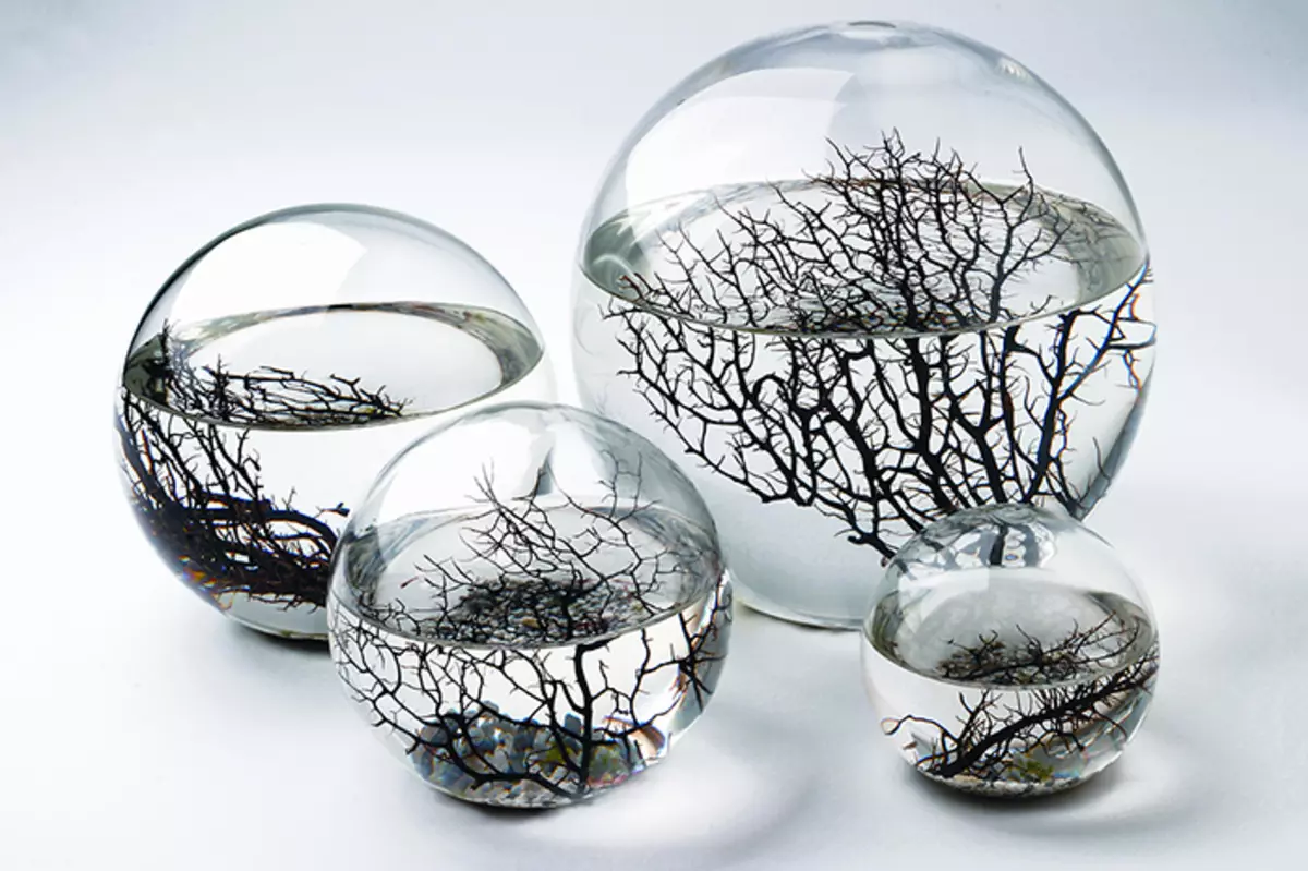 Ecosphere