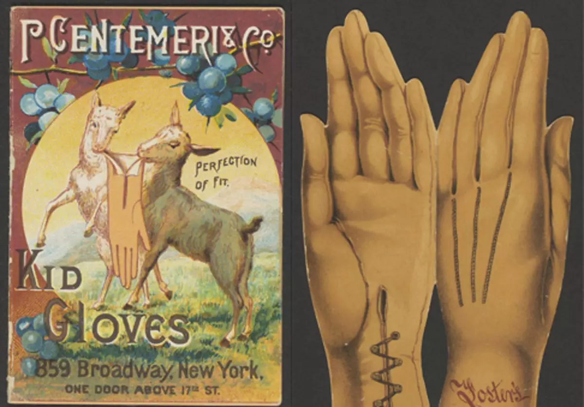 Отворени архиви в Харвардския университет: пощенски картички, гравюри и феминистки 7631_6