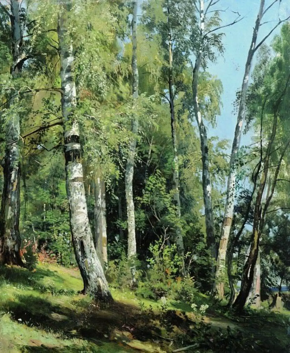 Іван Шишкін, «Березовий гай» (1896 г.)