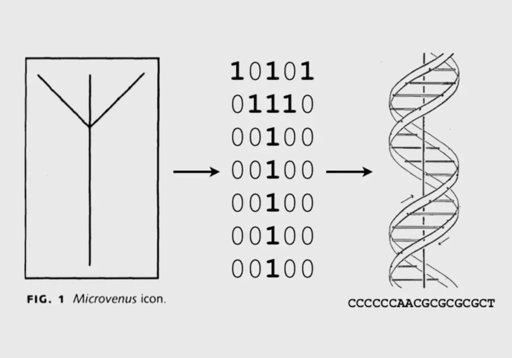 البكتيريا الموسيقى والشعر DNA واللغات الشمالية. مقابلة مع عالم الفنان جو ديفيس 10122_1