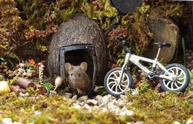 Brittisk fotograf byggde ett hus för möss 10296_11