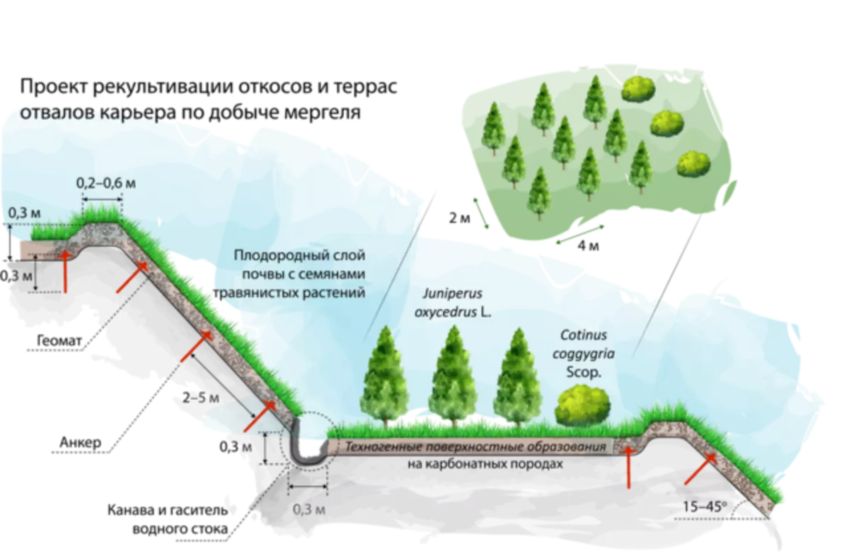 Kim cương từ khí thải, bản đồ tất cả các thành phần cây và nhiên liệu của Nga trong tương lai: các dự án sáng tạo sẽ giúp chúng ta duy trì thiên nhiên 10872_2