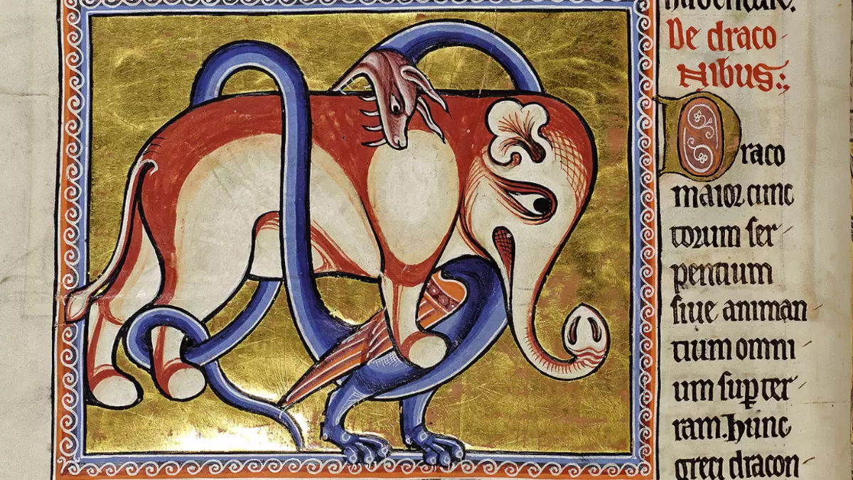 Nakhodka: Aberdeen Bestiary - som middelalderske kunstnere malte dyr 11467_13