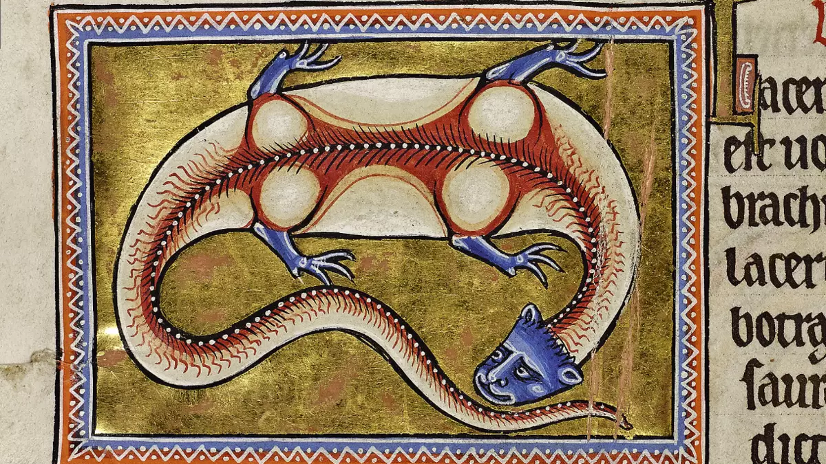 Nakhodka: Aberdeen bestiary - როგორც შუა საუკუნეების მხატვრების მოხატული ცხოველები 11467_15