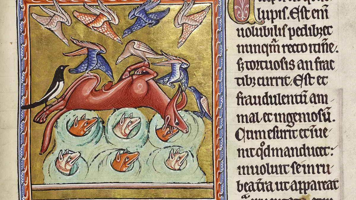 Nakhodka: Aberdeen Bestiary - som middelalderske kunstnere malte dyr 11467_4