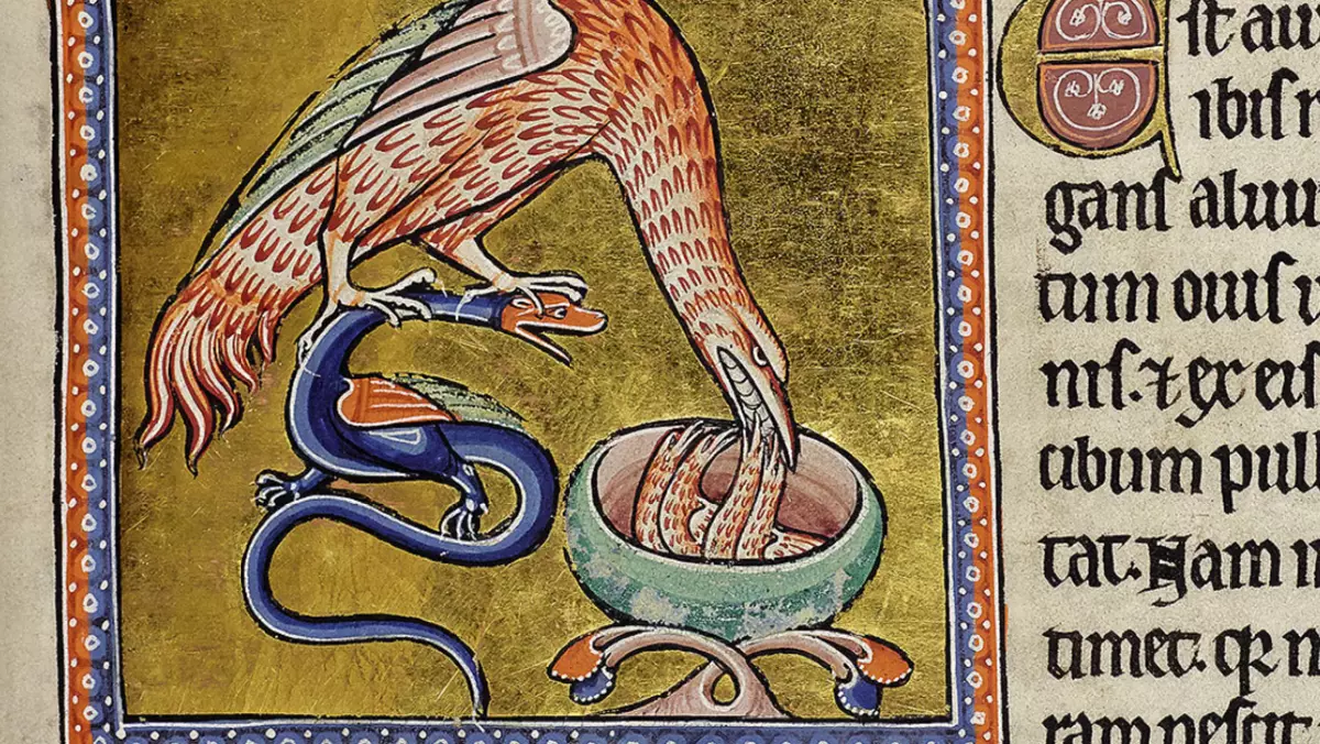 Nakhodka: Aberdeen Bestiary - som middelalderske kunstnere malte dyr 11467_8