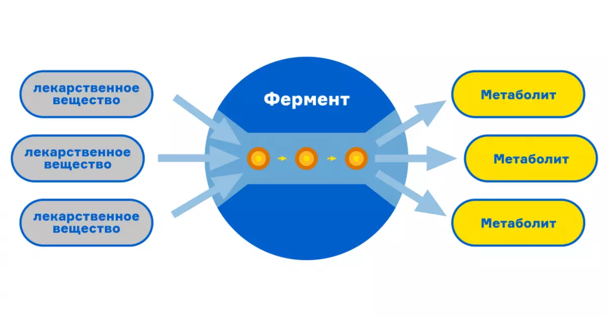 Dark Alleles: ยีนสามารถกำหนดผลลัพธ์ของการรักษาด้วยยาได้อย่างไรและยากล่อมประสาทสามารถทำให้คนฆ่าได้อย่างไร 13193_5