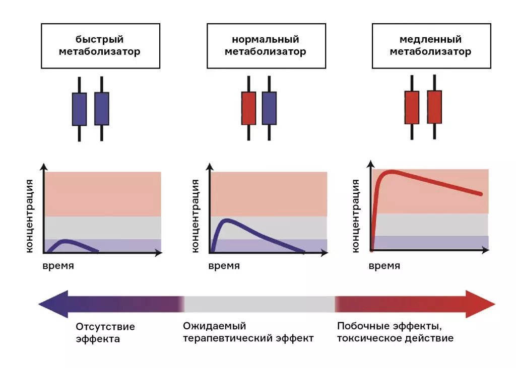 Dark Alleles: როგორ გენი გენი განსაზღვრავს სამკურნალო თერაპიის შედეგს და შეუძლია ანტიდეპრესანტულ ადამიანს კლავს? 13193_6