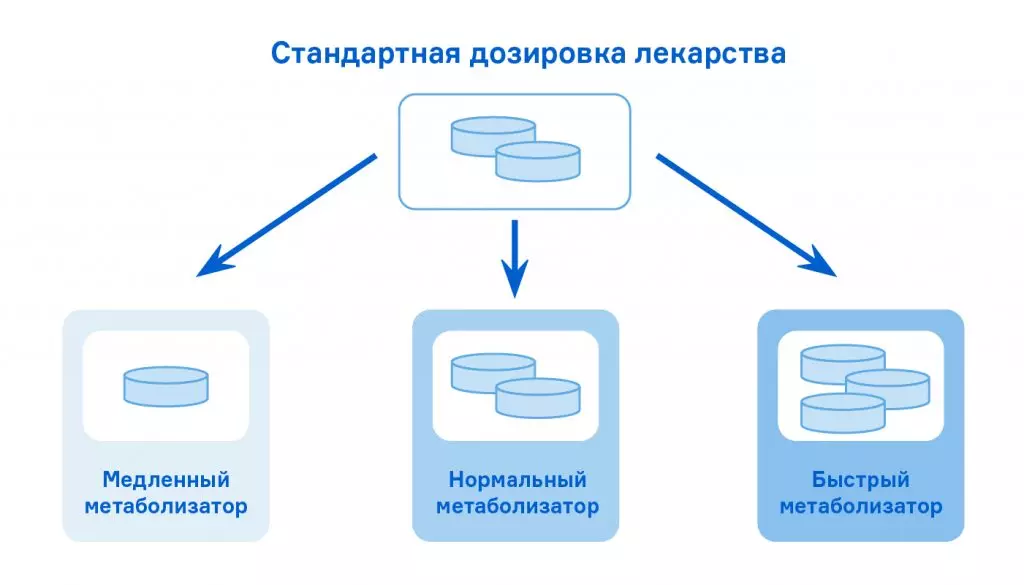 Các alen tối: Làm thế nào để các gen xác định kết quả của liệu pháp dược liệu và thuốc chống trầm cảm có thể làm cho một người giết? 13193_8