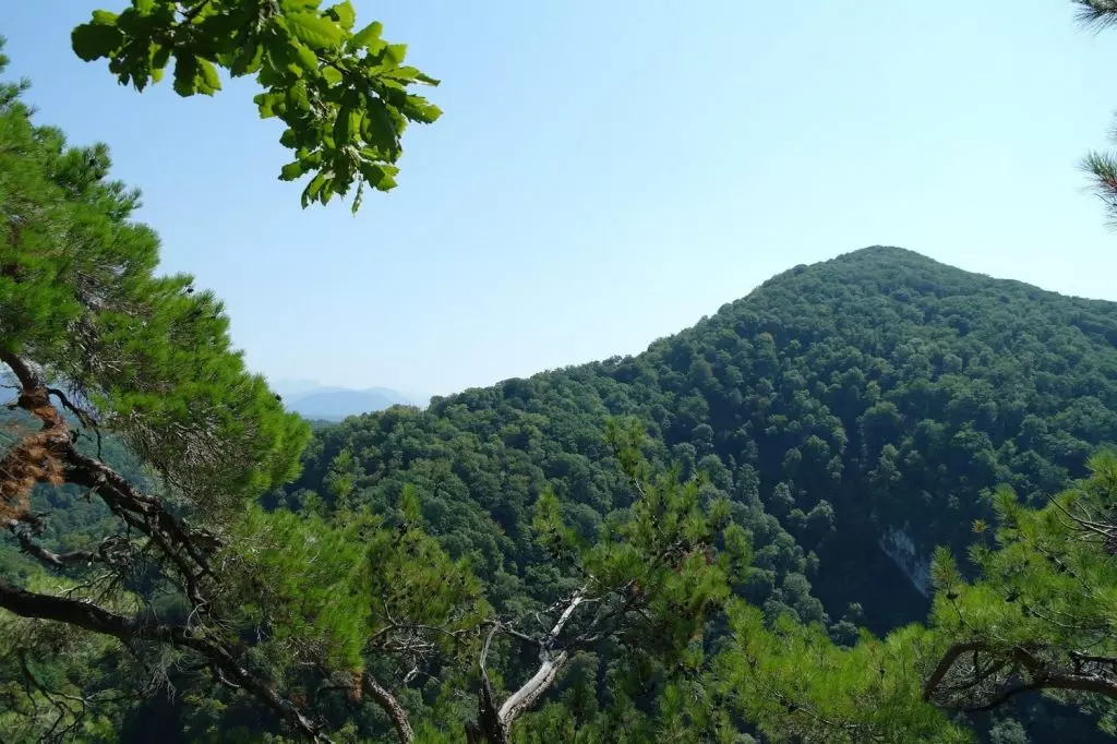 Biển, Suvlaki và kiềm nát với những người khỏa thân. Phải làm gì trong Sochi, nếu bạn là một bd 13284_5