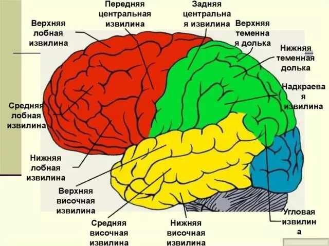 Мондый үзгәрешле үткән. Нигә без беркайчан да булмаганны хәтерлибез 14263_5