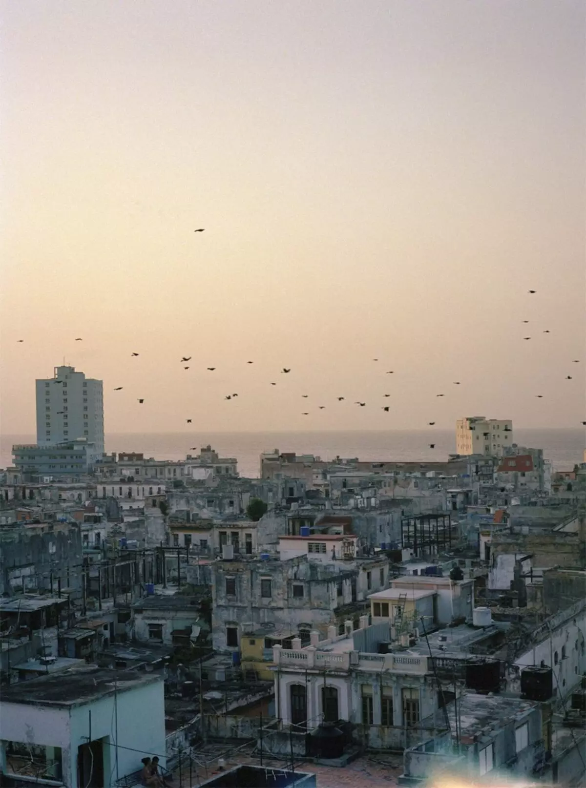 Unhurried Cuba: Fotograf Irina Rosovskaya fanget en sying sommer i Havana 14266_18