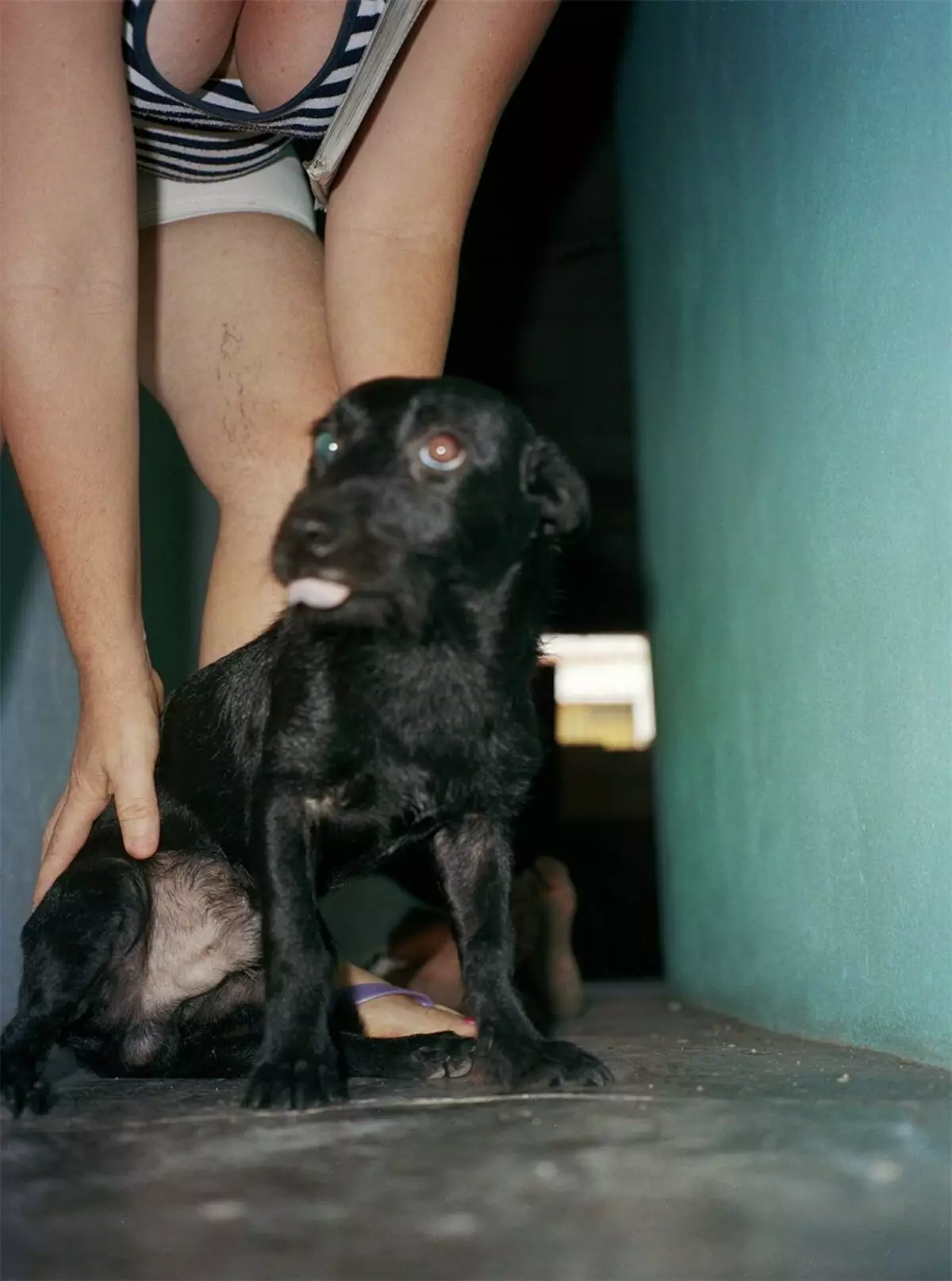 Unhurried Cuba: Fotograf Irina Rosovskaya fanget en sying sommer i Havana 14266_23