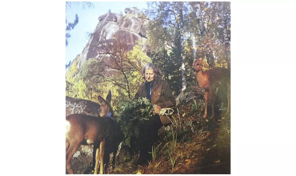 Duguan bato. Tulad ng mga climbers ng Krasnoyarsk lumikha ng isang subculture ng isang purby at nakipaglaban sa krimen, milisiya at turista 14819_8