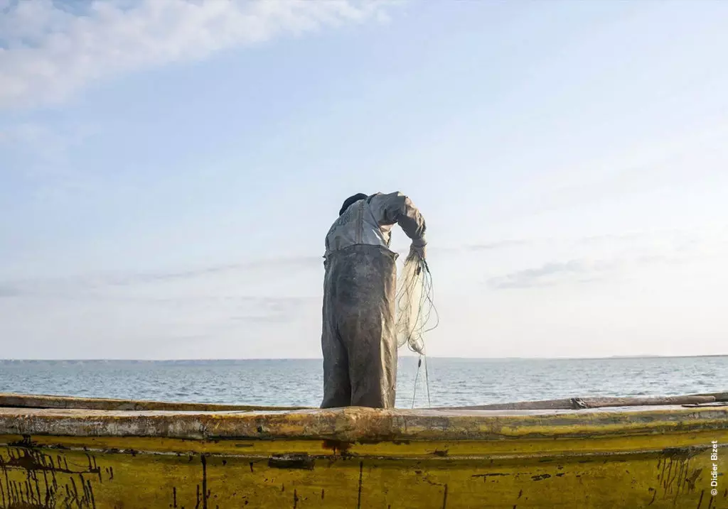 Mer sans oxygène, chi-fantômes et récifs démolis. Comment la pêche et l'aquaculture détruisent les écosystèmes des océans 15094_2