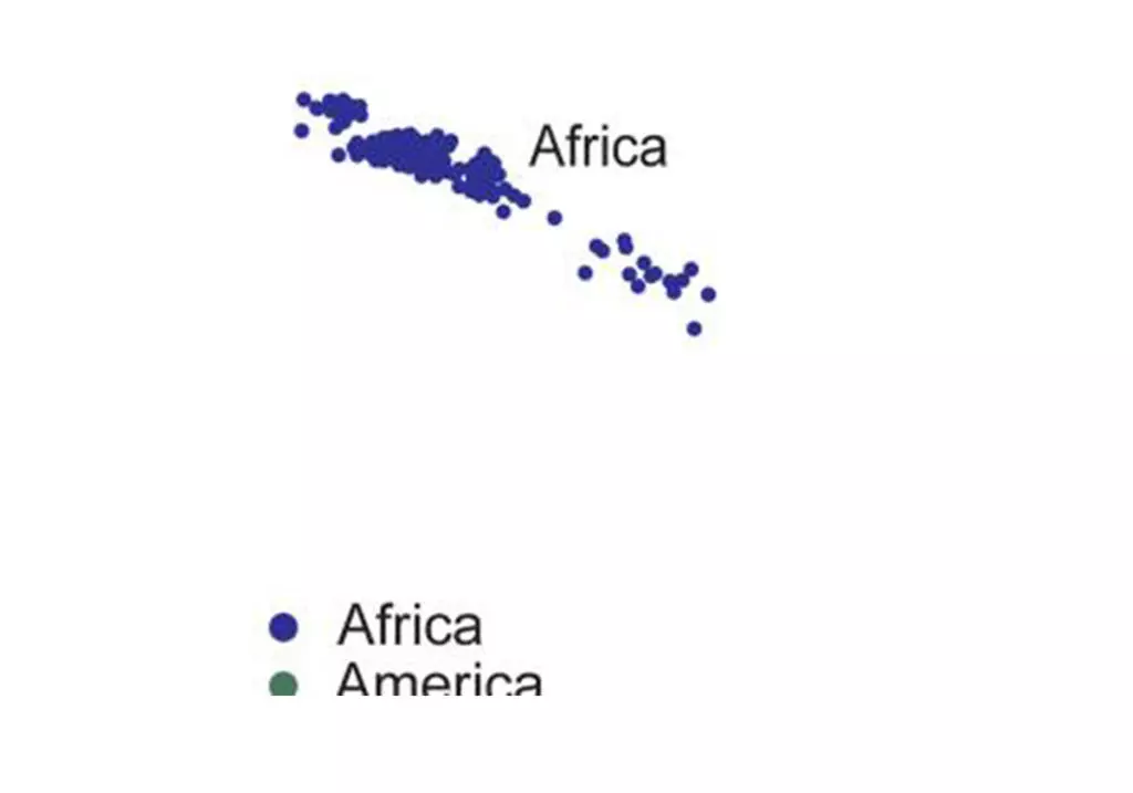 Raças, doenças e inteligência. Por que estudar a diversidade biológica do homem? 15486_2