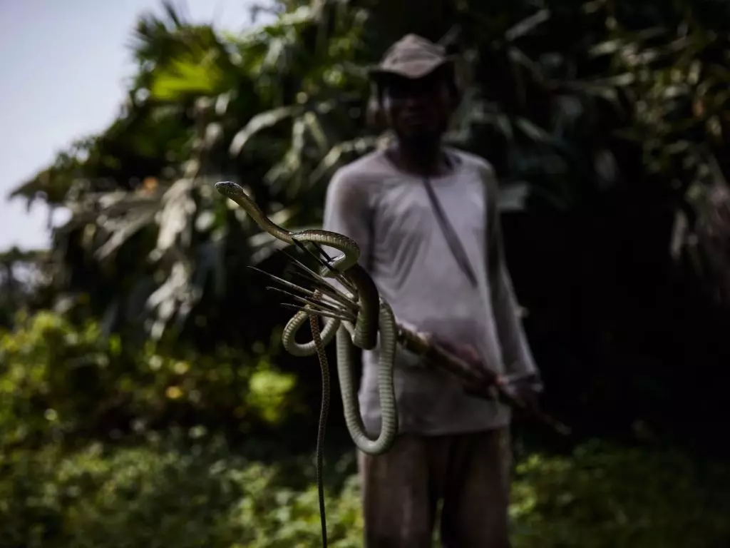 Must Mamba: Kuidas mürgised maod tõi kaasa Kongo kriisi 15533_16