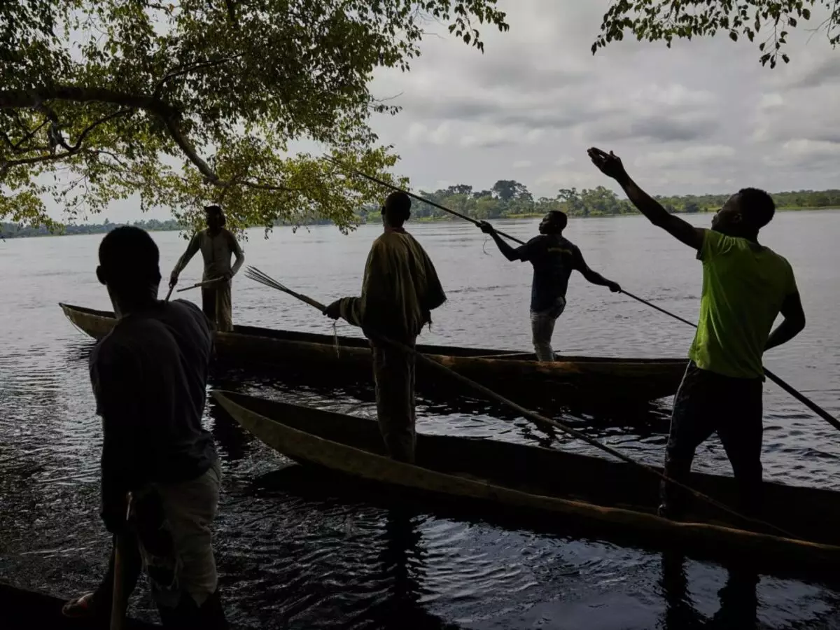 Must Mamba: Kuidas mürgised maod tõi kaasa Kongo kriisi 15533_17