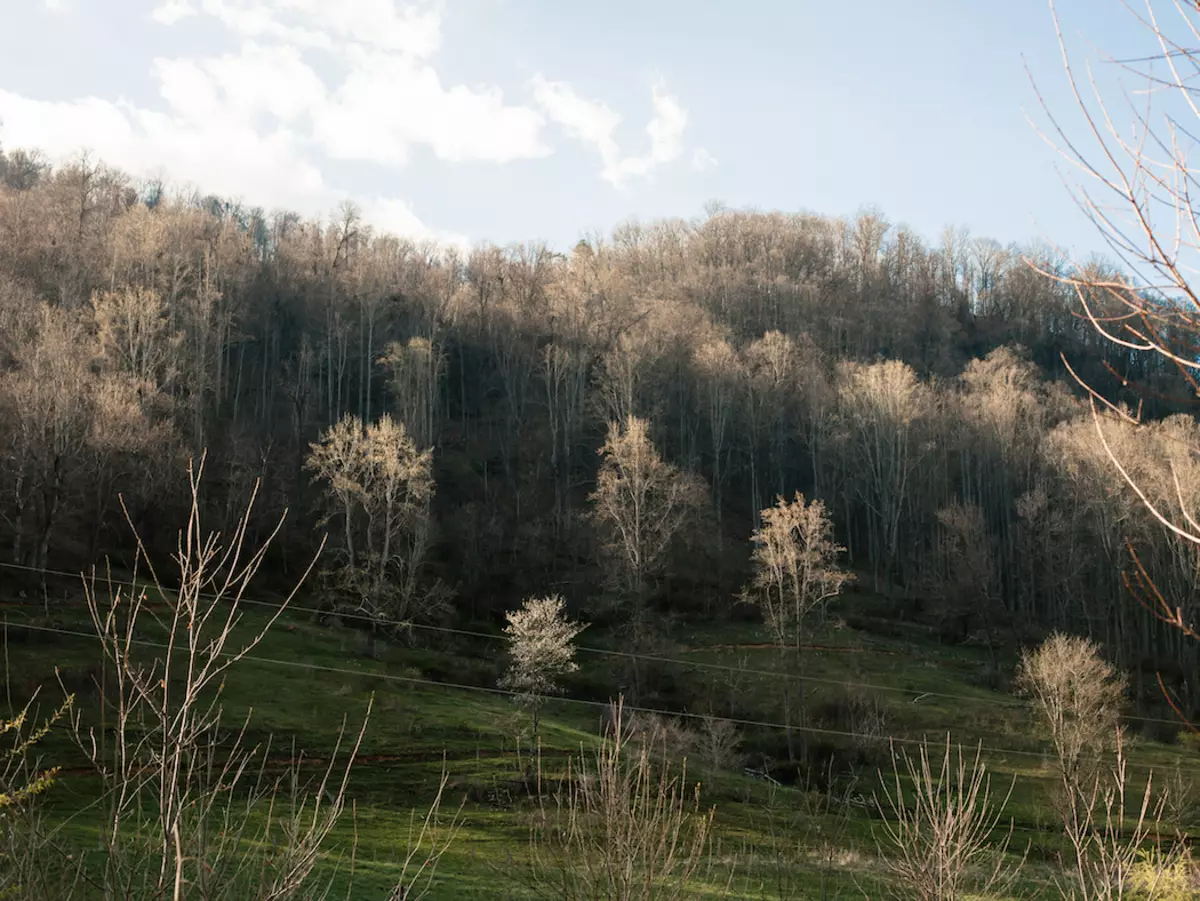 Foto reportaža: kako smanjiti ovce u Sjevernoj Karolini 1599_13