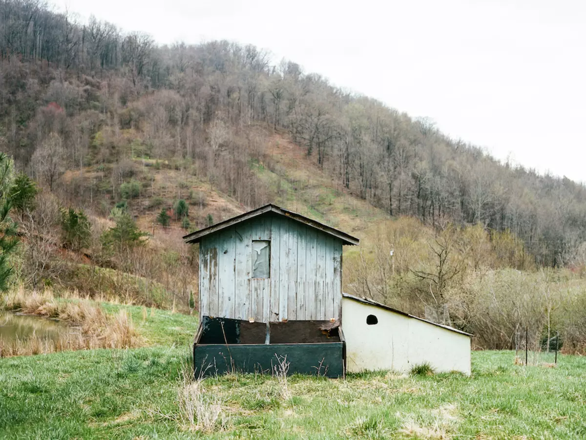 Photo Rapport: Wéi fir Schof an North Carolina ze schneiden 1599_3