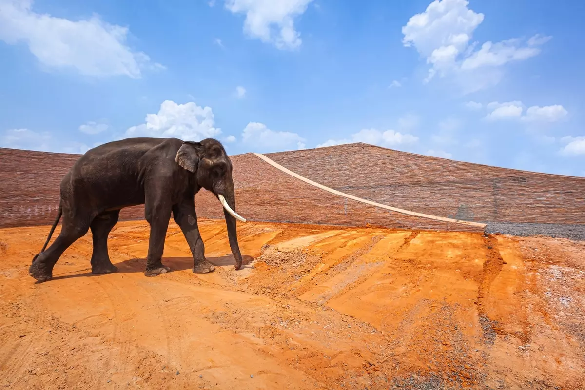 Museum dengan taman bermain untuk gajah muncul di Thailand 16237_5