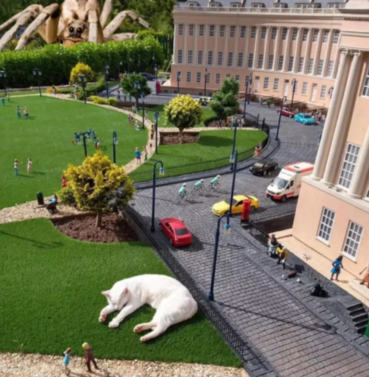 Mem van die Dag: Die kat aan die slaap geraak op die grasperk van die Britse Park miniatuur 16330_2