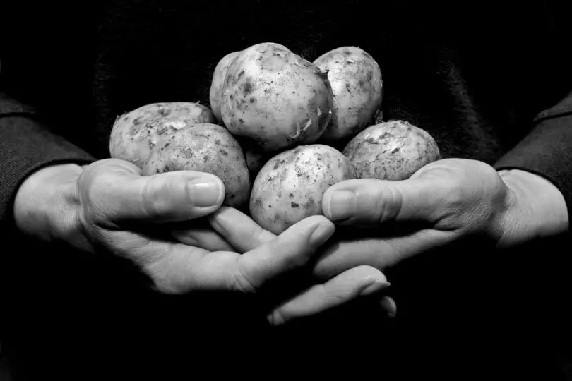 Penjualan hari ini: Gambar-gambar kentang terbaik menurut Fotografer Kentang Kontes Inggris 16364_5